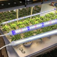 China 4ft T8 90cm 120cm T5 LED Grow Light Tubes 18W 25W 36W 3FT Full Spectrum LED Plant Grow Light for sale
