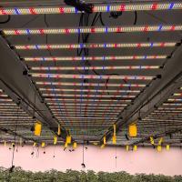 China ANDY 800W Bar Style Led Grow Light Full Spectrum Best Foldable Customized Ip66 4X4FT Samsung Chip LM301H EVO LM281B for sale