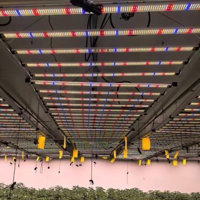 China ANDY 800W Bar Style Led Grow Light Full Spectrum Best Foldable Customized Ip66 4X4FT Samsung Chip LM301H EVO LM281B for sale