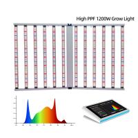 China 4x6ft 1200w Houseplant Grow Lights Full Spectrum Dimmable LED Grow Light For Veg for sale