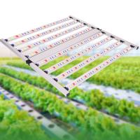 China Commercial High Power LED Grow Lamp Full Spectrum Ultraviolet LED Grow Light 900W for sale