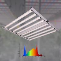 China Best Foldable Full Spectrum 800W Plant Grow Lighting Lm301h EVO Lm281b  LED Bar Fixture for Commercial Horticulture Cultivation for sale