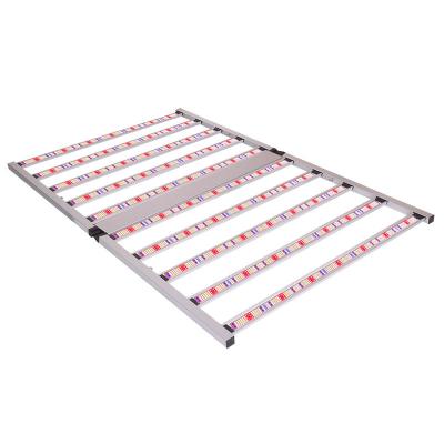 China High Ppfd Horticulture Samsong Lm301h Evo Indoor 1000W Plant Lights Bar Full Spectrum LED Light with UV IR for sale
