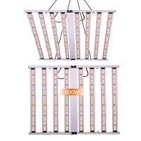 China Full Spectrum LED Plant Grow Lighting 800W High Efficacy Hydroponic Daisy Chain LM281b for Seed Starting for sale