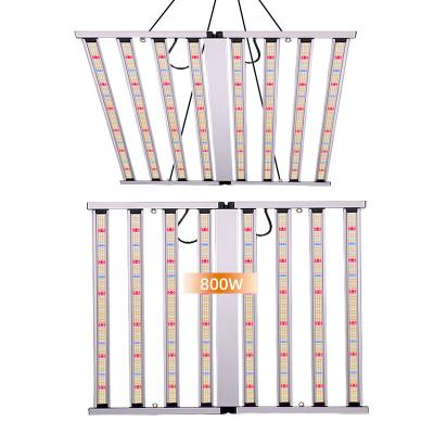 China Full Spectrum LED Plant Grow Lighting 800W High Efficacy Hydroponic Daisy Chain LM281b for Seed Starting for sale