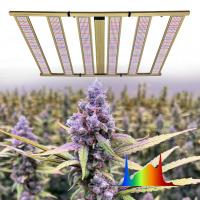 China Commercial Greenhouse LED Grow Lights 1200W Full Spectrum Grow Lights For Indoor Plants for sale