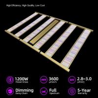 China Wide 1200W Full Spectrum LED Grow Light Foldable Commercial With Samsung LM301H LM281B Chips for sale