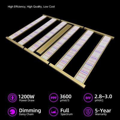 China Wide 1200W Full Spectrum LED Grow Light Foldable Commercial With Samsung LM301H LM281B Chips for sale