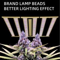 China 1200 Watt LED Grow Light Full Spectrum Medical Dimmable Plant Grow Light Samsung LM301H LM281B for sale
