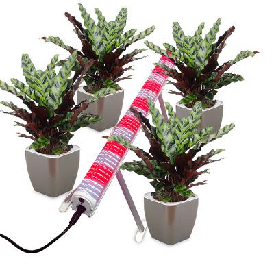 China 120W Samsung LED Under Canopy Grow Light IP65 Far Red Spectrum for sale