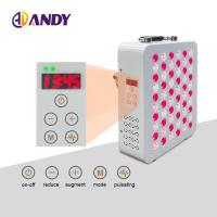 China 660nm 850nm Portable Red Therapy Light Panel 300W for sale