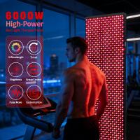 China 6000W LED Red Light Therapy Panel for Gym Spa for sale