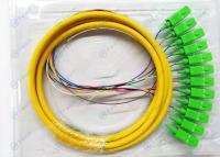 China Bundle Type SC Fiber Optic Pigtail Fan Out Single Mode High Temperature Stability for sale
