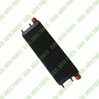 China For Bentley Continental Gt & Flying Spur 2006-2012 Transmission Oil Cooler OEM 3W0317019A for sale