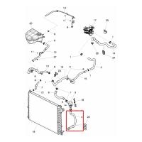 China For Bentley Continental Flying Spur GT 2003-2011 Lower Water Coolant Radiator Hose OEM 3W0121063 for sale