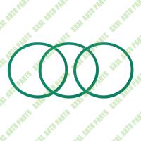 China For Maserati Quattroporte M139/Ferrari 430 Oil Pump O Ring Gasket OEM 148225 for sale