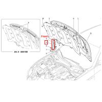 China For 2015 Maserati Quattroporte Ghibli M156 3.0 S Front Bonnet Hood Gas Strut OEM 670007295 for sale