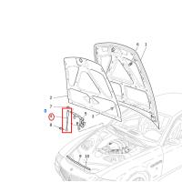 China For Masarati Quattroporte M139 2003-2011 Front Hood Lift Support Shock Strut OEM 67726000 for sale