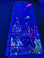 China Flexible Transparent LED Display Crystal LED Display For Interactive Advertising for sale