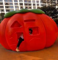 China Custom Outdoor Children's Play Equipment - LLDPE Rotational Molded Plastic Toys with Custom Sizes & Colors for sale