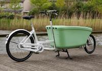 China Rotomolded Cargo Bike Box Double Wall Polyethylene Freight Bicycle Housing 1000 Sets Year for sale