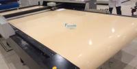 China Conveyor Belt Used For Single Layer Auto Cutting Machine Z1/DCS2500/3500 for sale