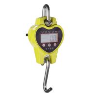 China 500kg Rated Load Mini Crane Scale  Customized  Hanging Type Crane Scale for sale