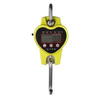 China 500kg Rated Load Mini Crane Scale  Customized  Hanging Type Crane Scale for sale