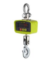 China 300KG Rated Load   Crane Weight Scale Customized Crane Scale  Hanging Type for sale