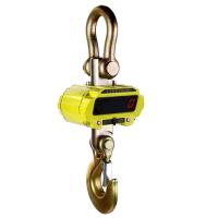 China Hanging Type Crane Weight Scale With  Alloy Or Plastic Shell 1000kg Rated Load for sale