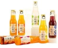 China 1t Per Day Small Apple Juice Processing Line With Pet Bottle Packing for sale