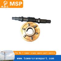 China Passenger Hoist Worm Wheel and Worm Shaft for Construction Elevators - High Load Capacity & Corrosion-Resistant Design for sale