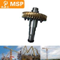 China Passenger Hoist Worm Wheel and Worm Shaft for Construction Elevators - High Load Capacity & Corrosion-Resistant Design for sale