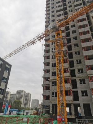 China Potain MCT 205 / 200 10T Tower Crane - 60m Height, 65m Jib - 2020 Model Year for sale