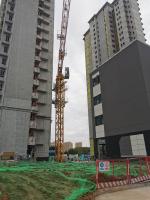 China Potain MCT 205 / 200 10T Tower Crane - 60m Height, 65m Jib - 2020 Model Year for sale