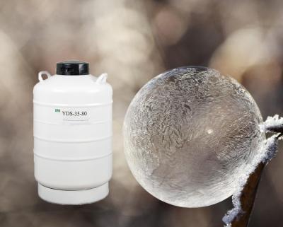 China Aluminium Alloy Biomedical Liquid Nitrogen Tank 35.5 Liter for sale