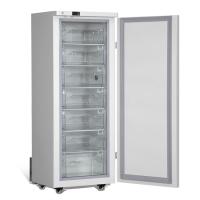 China 278L Capacity Hospital Laboratory Stainless Steel Upright Deep Freezer With Lock for sale