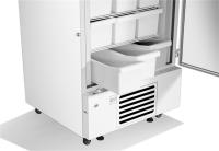 China Minus 40 Degrees Upright Medical Vaccine Deep Low Temperature Freezer 528 Liters For Hospital Equipment for sale