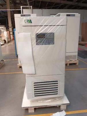 China 58 Liters Mini Solid Door Biomedical Ultra Low Freezer For Hospital for sale