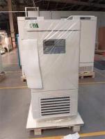 China 58L Mini Portable Under Counter Stainless Steel Ultra Low Temperature Freezer With CE for sale