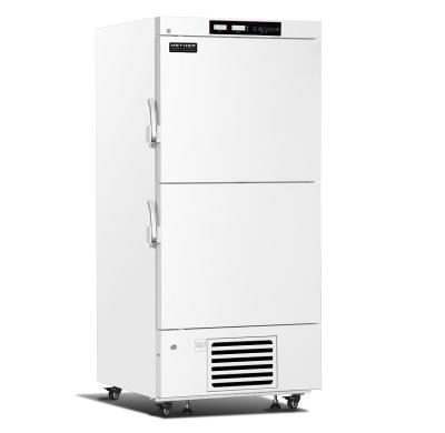 China Minus 40 Degree 528L Laboratory Deep Freezer for sale