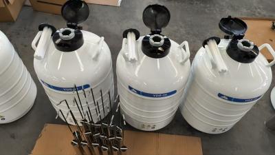 China Cryogenic Dry Shipper Portable LN₂ Vapor Phase Container for Sample Shipping for sale
