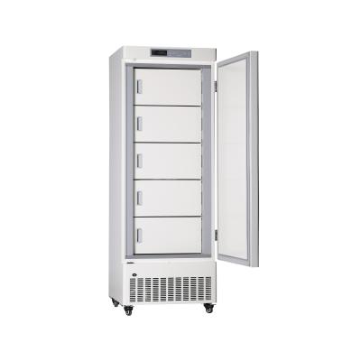 China -40 Degrees 328L steel Upright Medical Deep Freezer with steel shelves for vaccine storage for sale