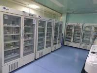 China High Quality Double Glass Door Vaccine Storage Pharmacy Refrigerator With LED Interior Light for sale