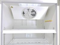 China Large Capacity 316L Vertical Stand Medical Pharmacy Vaccine Refrigerator 2-8 Degrees for sale