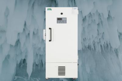 China -86 Degree 588 Liters Capacity Upright ULT Freezer For Vaccine Storage Direct Cooling for sale