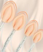 China Eco Friendly Pvc Intubated Laryngeal Mask Airway Blister Packing for sale