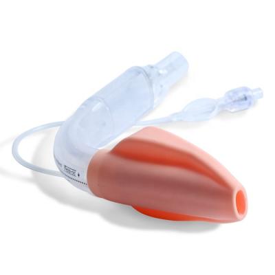 China Hospital 1Fr Double Cavity Laryngeal Mask Airway LMA Airway Tube for sale