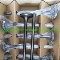 China Jichai 190 Series Engine Intake Valve and Exhaust Valve 12VB 03.22 for 12V 8V 6V for sale