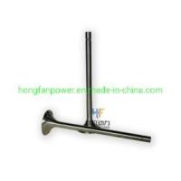 China Shengdong 500kW Natural Gas Generator Intake Valve W12V190.03.01 for W12V190 Series Engines for sale